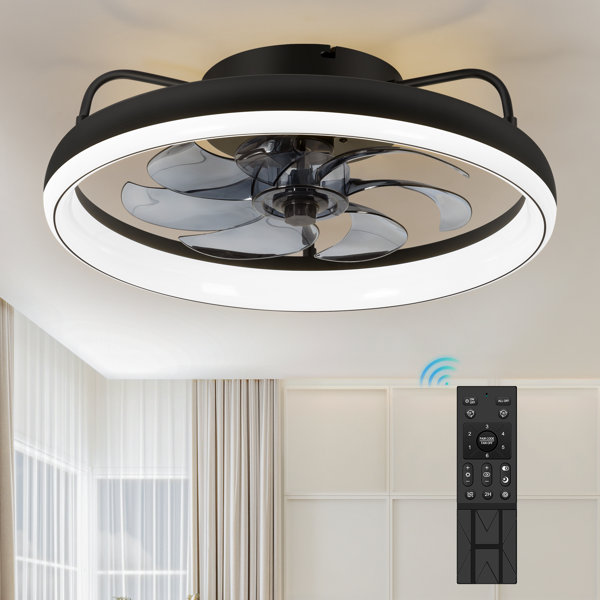 17 Stories Tarrah 19 inchLow Profile Ceiling Fans with Lights and ...
